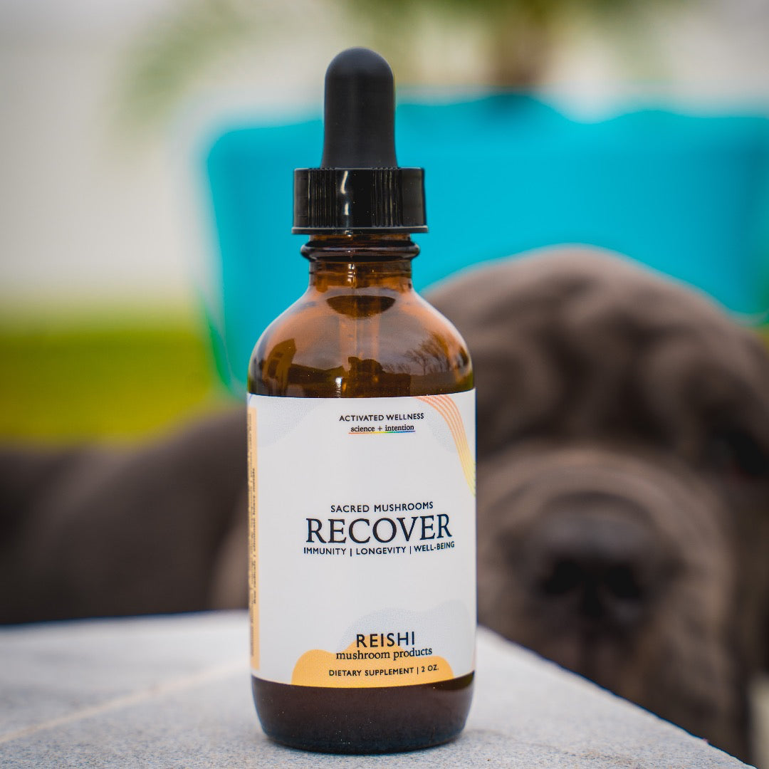 Beat the Dog Days of Summer with Better Sleep – Activated Wellness